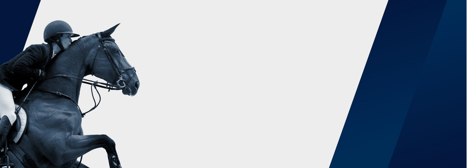 Horse Supplements, Feed & Care Products from Cavalor Direct