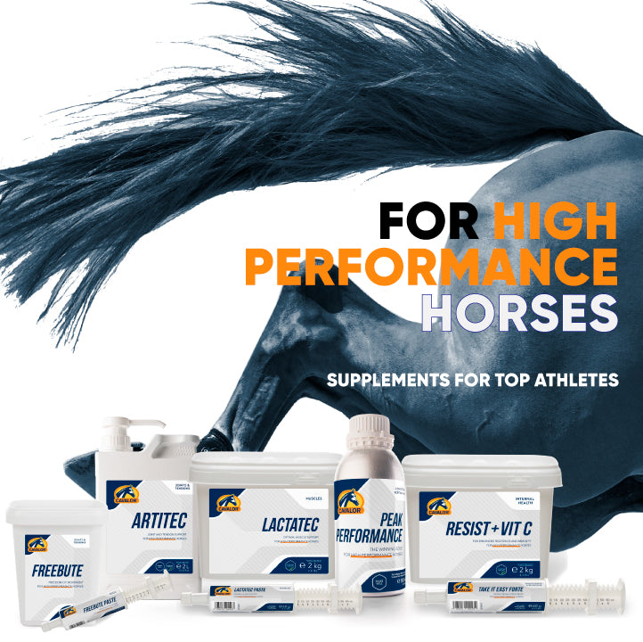 High Performance Range – Cavalor Direct